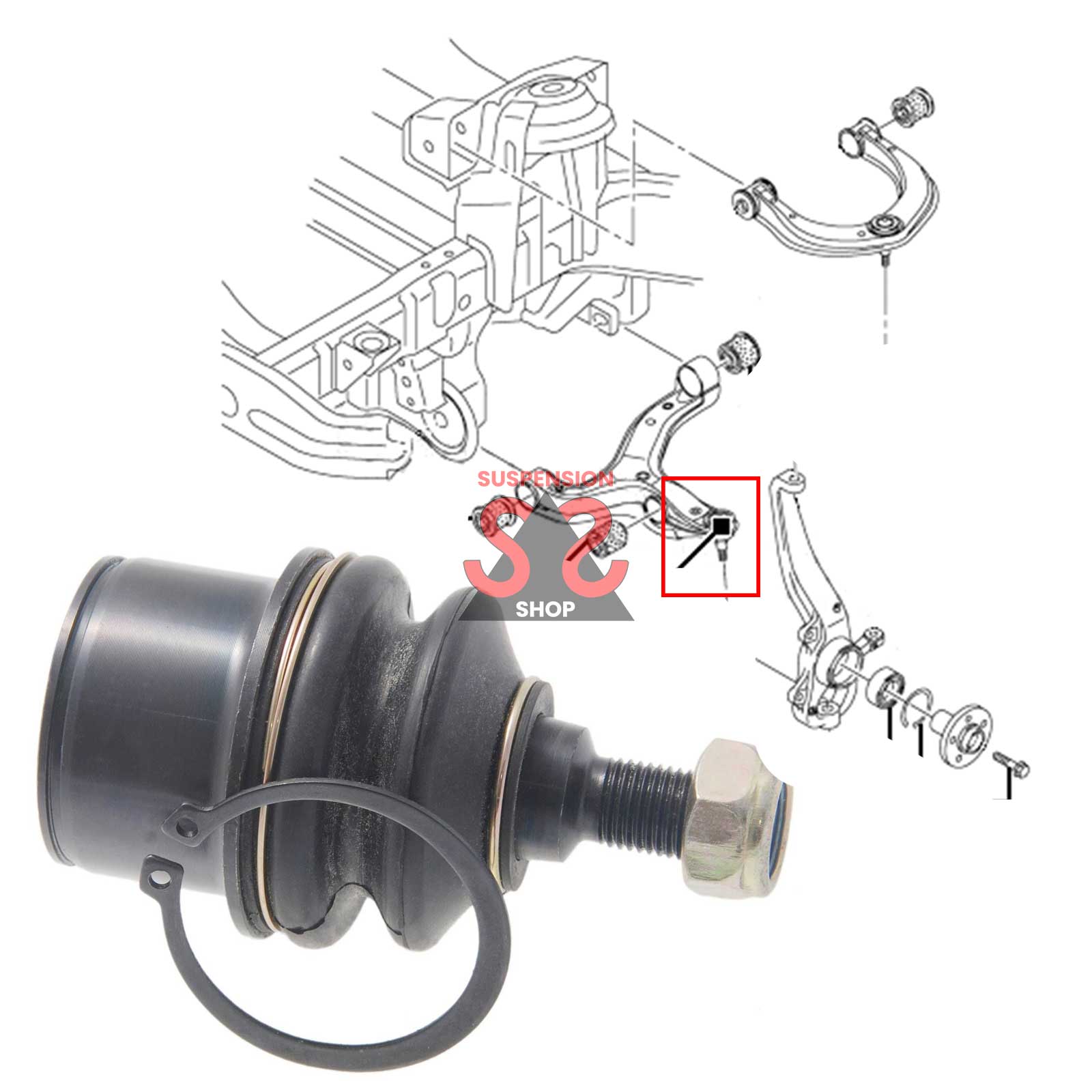 Lower Front Axle Ball Joint Suit VW Amarok (2Ha, 2Hb, S1B, S6B, S7A, S7B) 2.0 | eBay